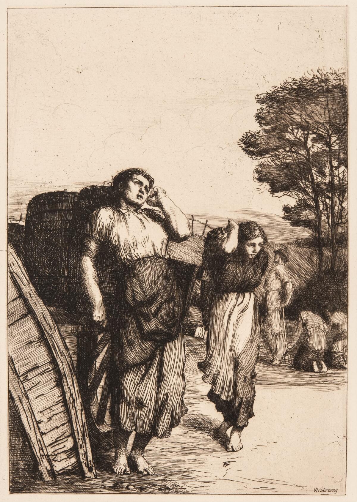 Potato Lifting | Hammer Collections