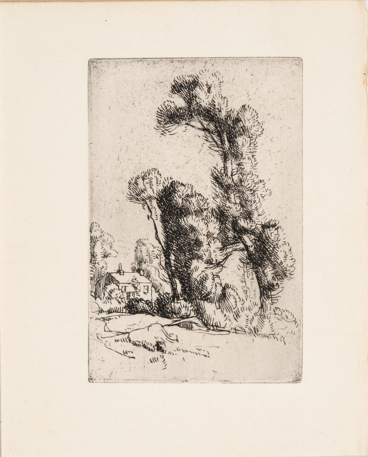 House with Tall Trees (Example of soft-ground etching) | Hammer Collections
