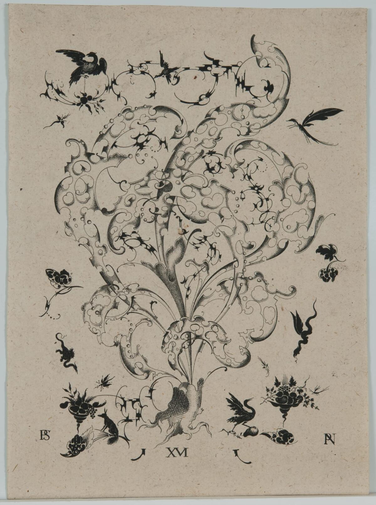 Plate 16 | Hammer Collections