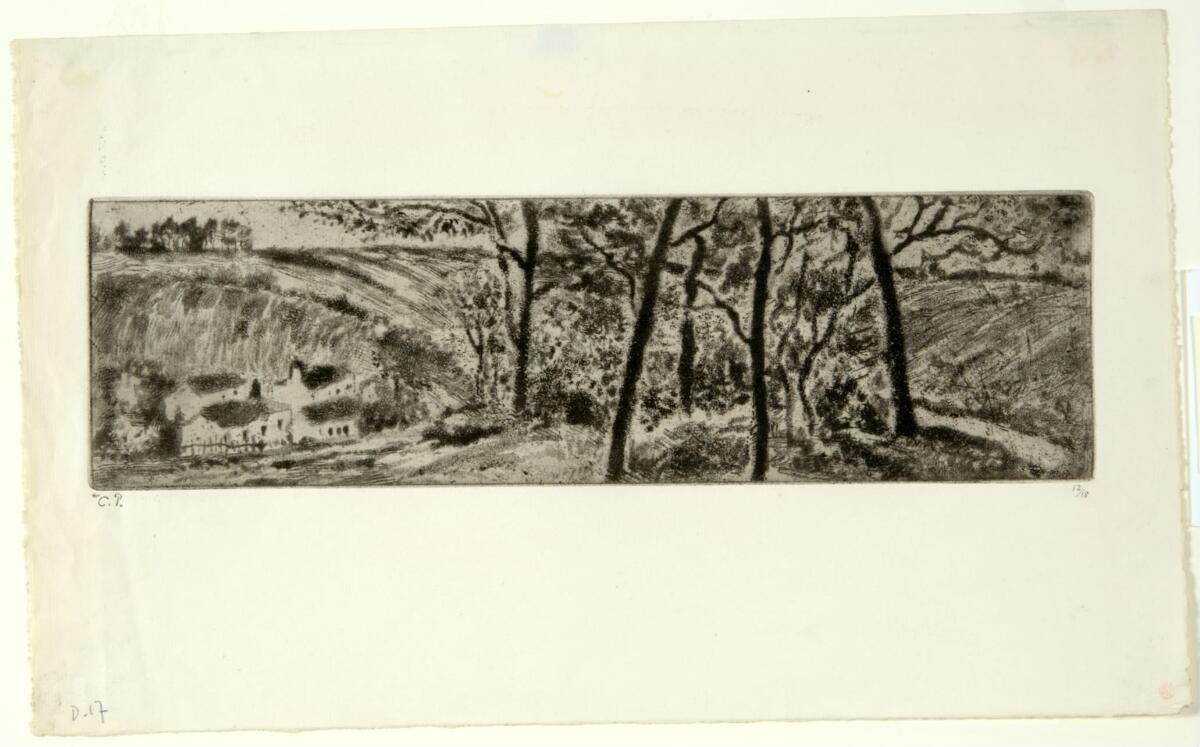 Paysage en long | Hammer Collections