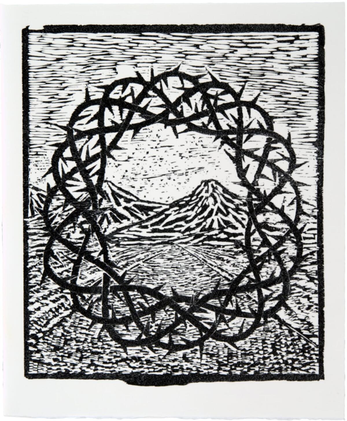 Untitled | Hammer Collections