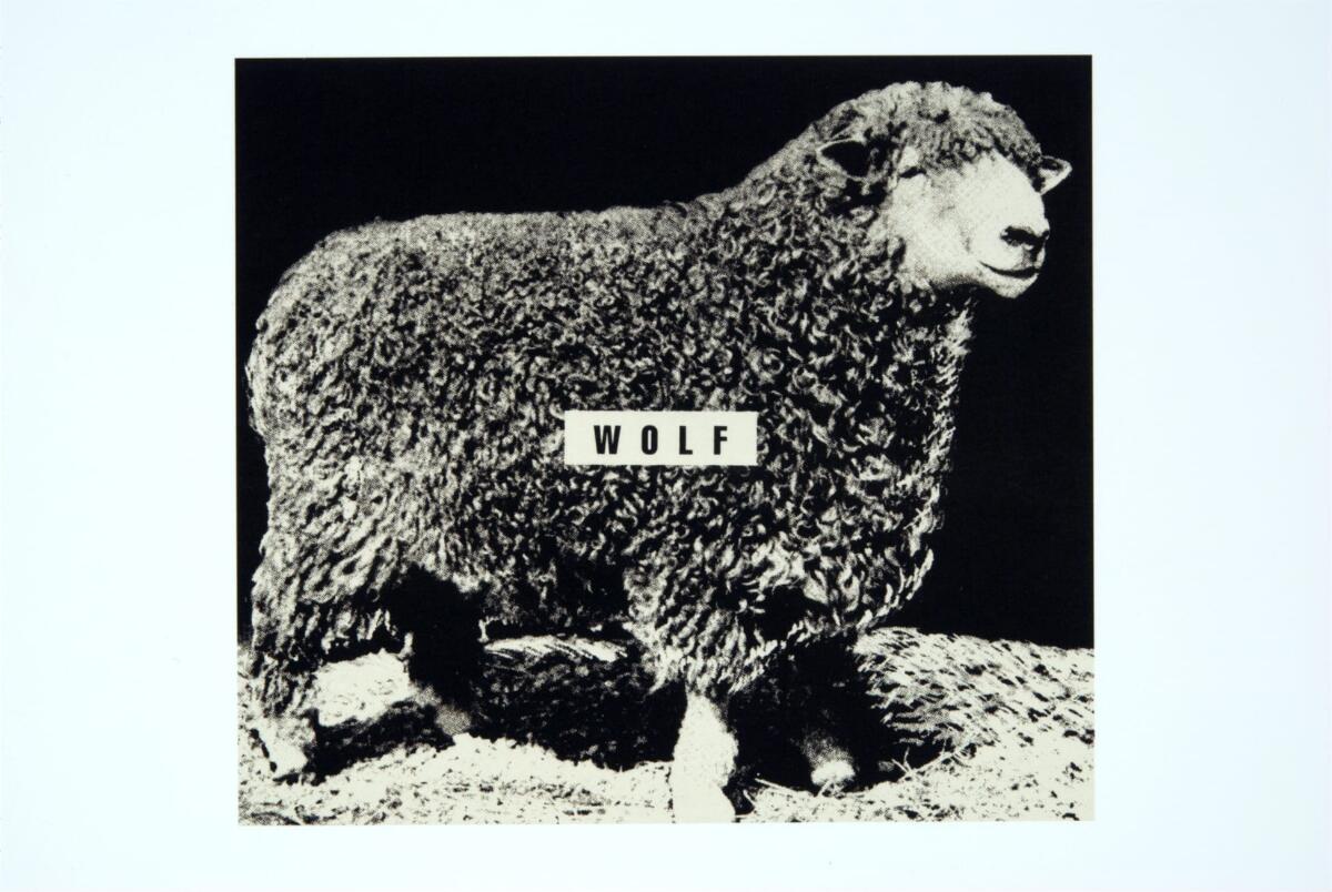 Wolf | Hammer Collections