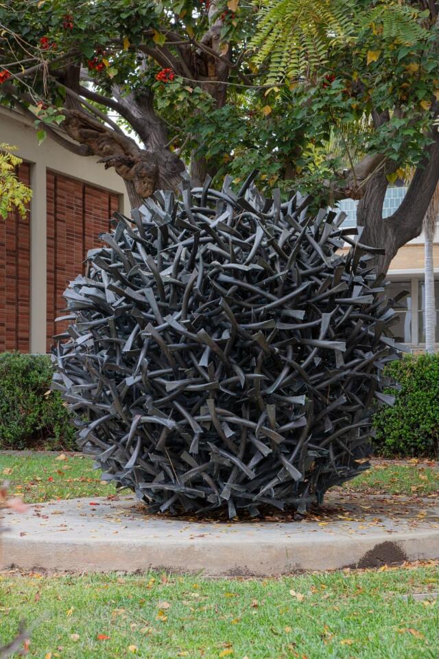 Phoenix 1976 | Hammer Collections