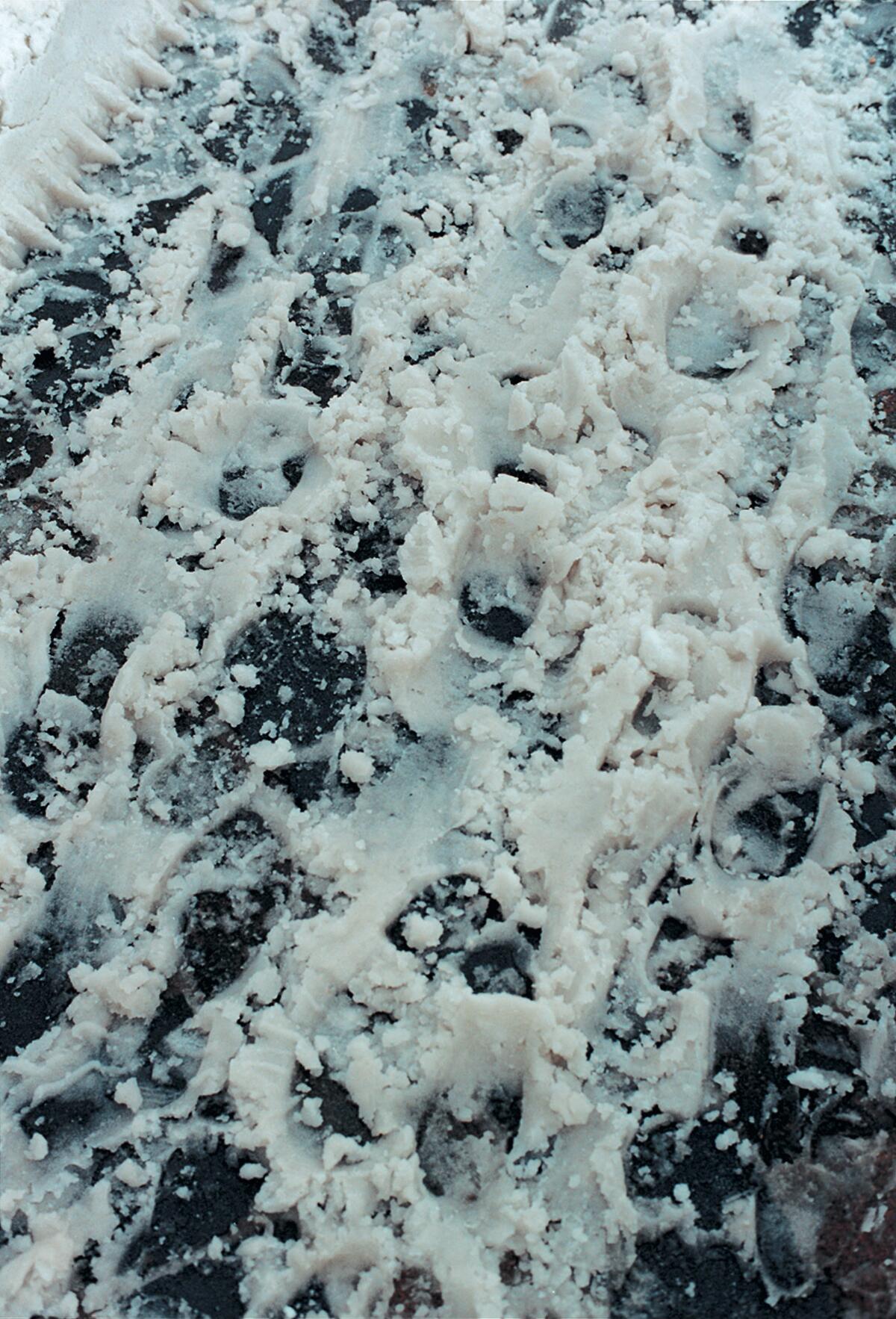 Snow / Ice Grid | Hammer Collections