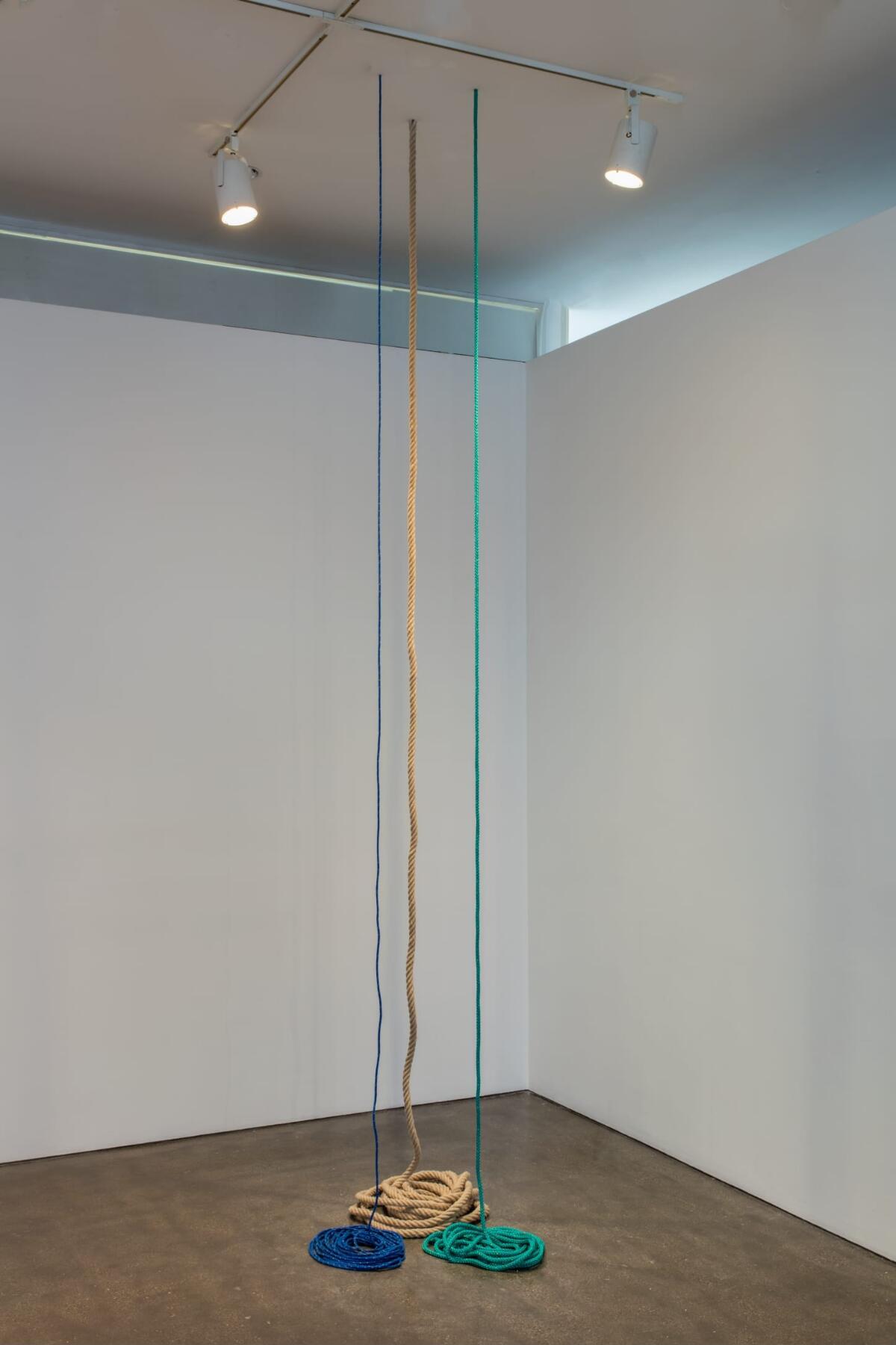 Untitled | Hammer Collections