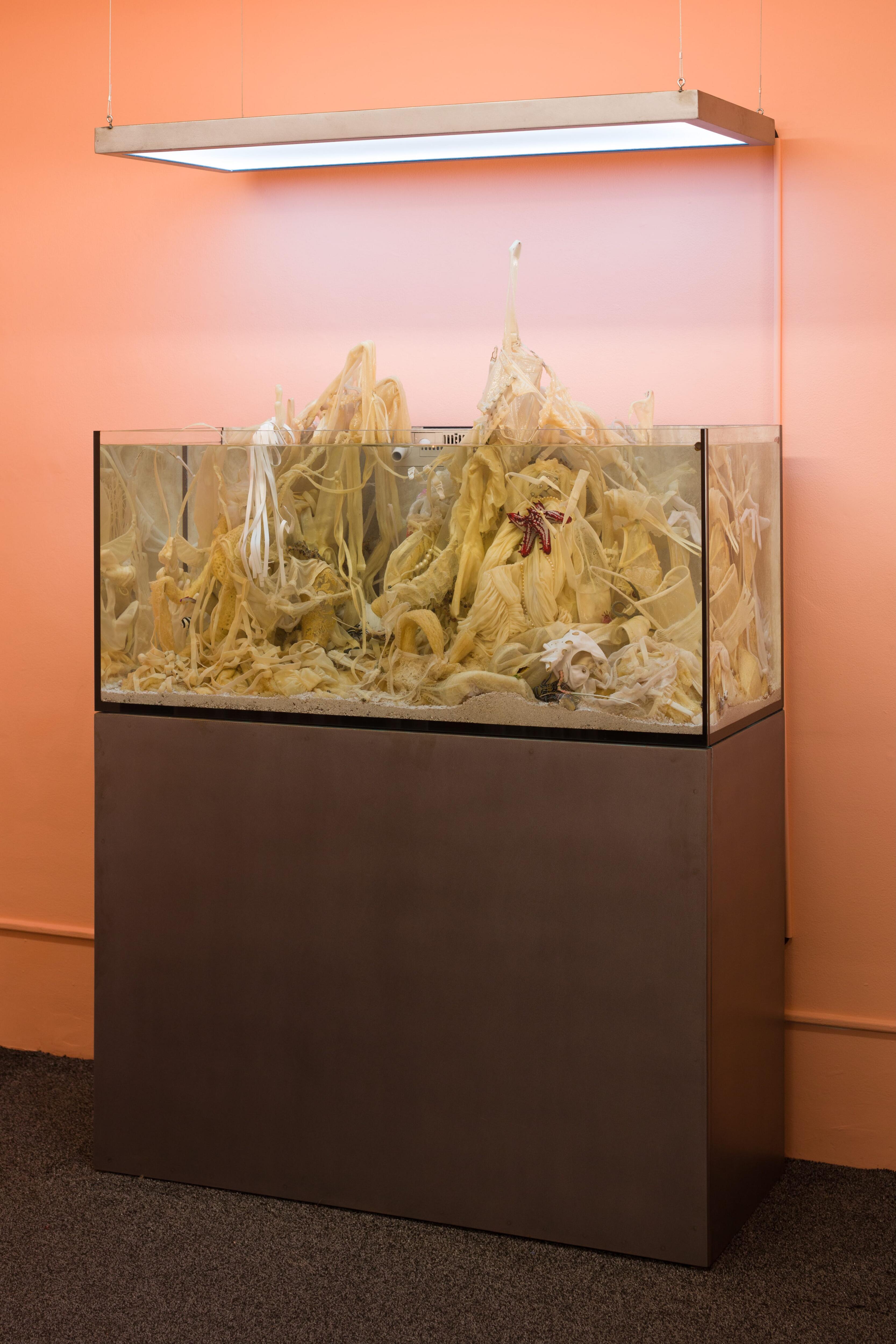 Search | Hammer Collections