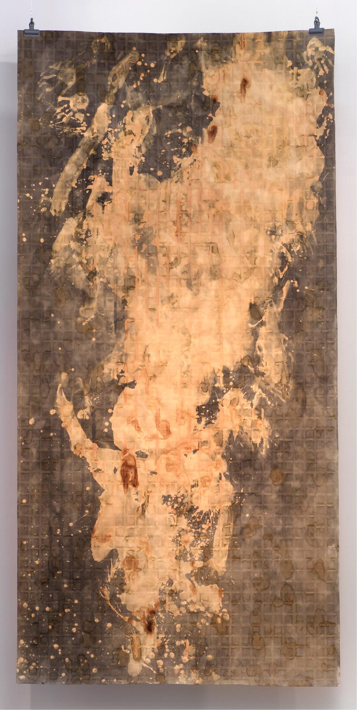 Cuerpo Como Marca | Hammer Collections