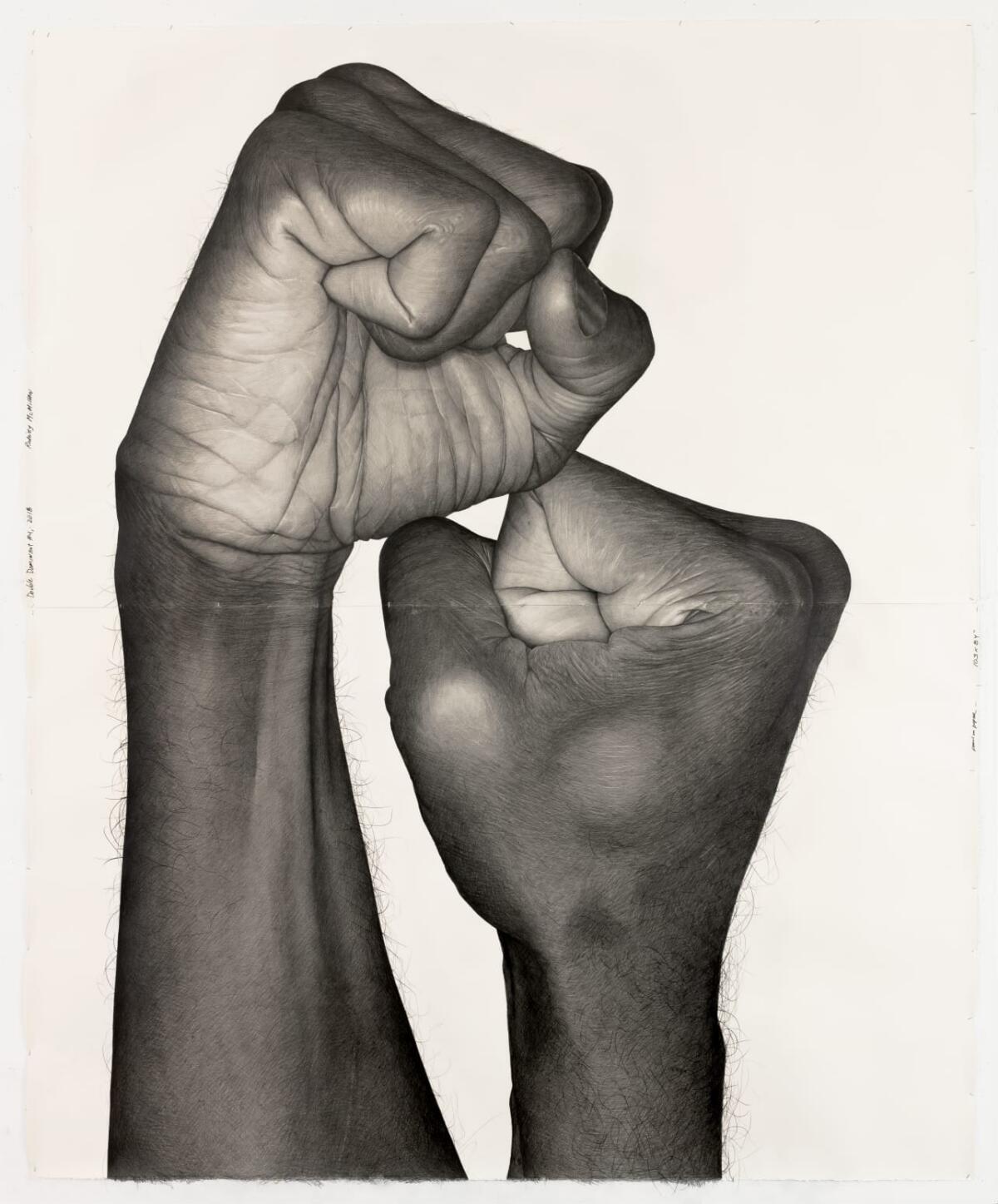 Double Dominant 4 (Rodney McMillian) | Hammer Collections